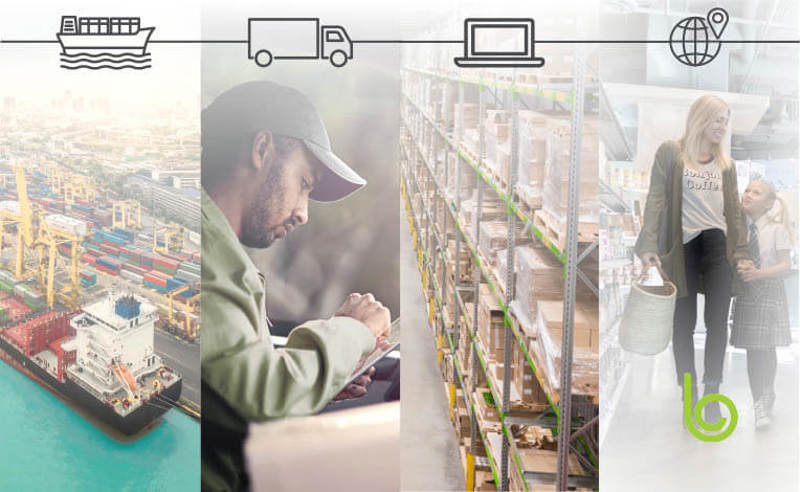 9 Key Players in the Global Supply Chain Ecosystem | Blume Global